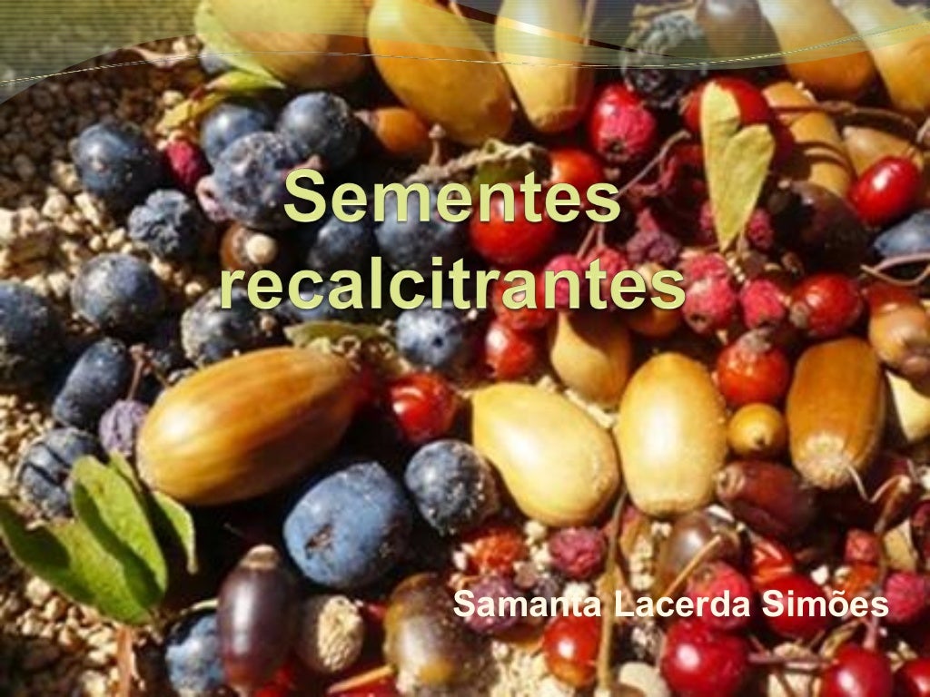 Sementes recalcitrantes