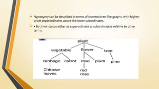 Hyponymy in sementic | PPT
