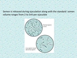 Semen volume pills | PPT