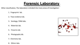 semester4paper4forensic-170226082103.pdf
