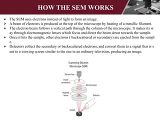 SEM & FESEM.pptx
