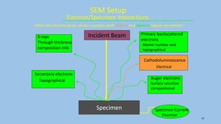 Introduction to SEM Characterization.pptx
