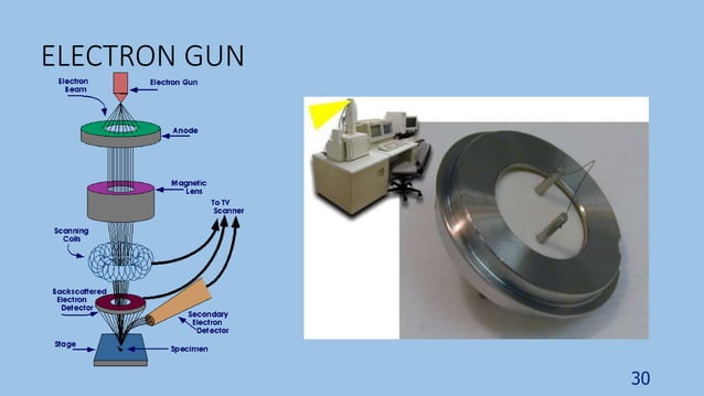 Introduction to SEM Characterization.pptx