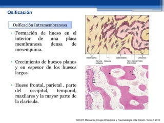 SEM fracturas en pediatricos dfdfAP.pptx