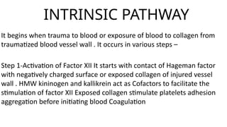 Hemostasis seminar pdf for college and university seminars | PPTX
