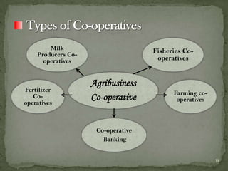 Role of co-operative in agribusiness | PPTX
