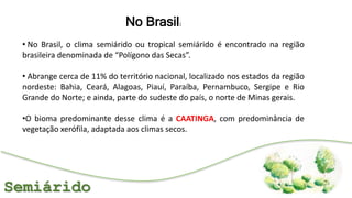 Semiárido Brasileiro | PPTX