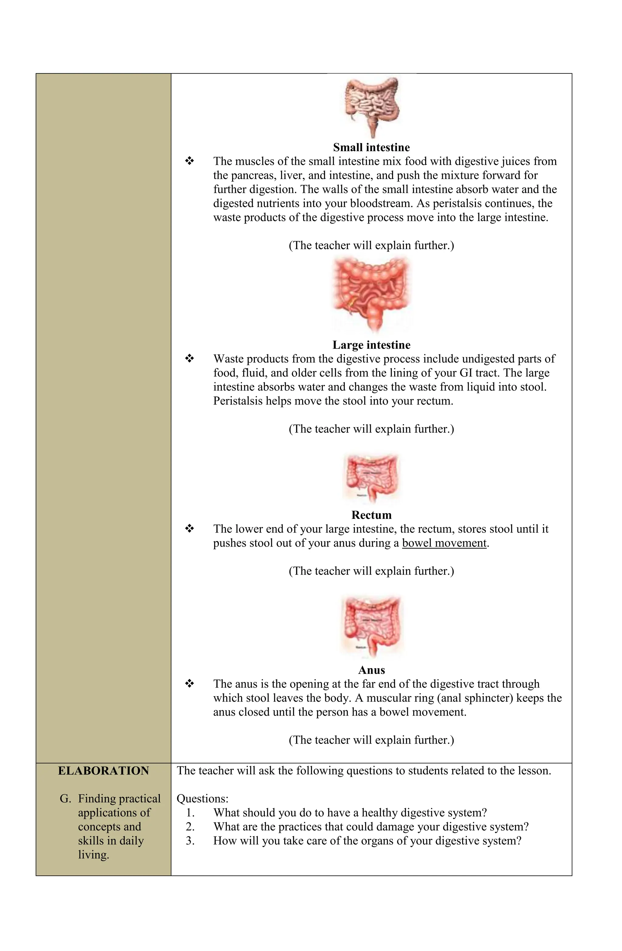 semi - detailed lesson plan (Digestive System 8).docx