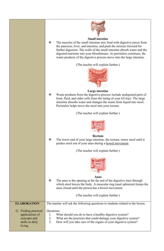 Digestive System Lesson Ks3