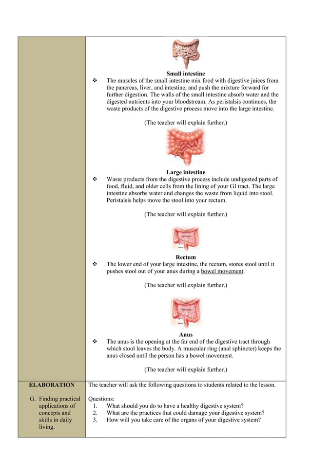 semi - detailed lesson plan (Digestive System 8).docx