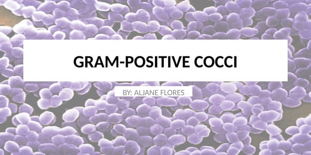 SEMI-FINAL-2.-GRAM-POSITIVE-COCCI-STREPTOCOCCI.pptx