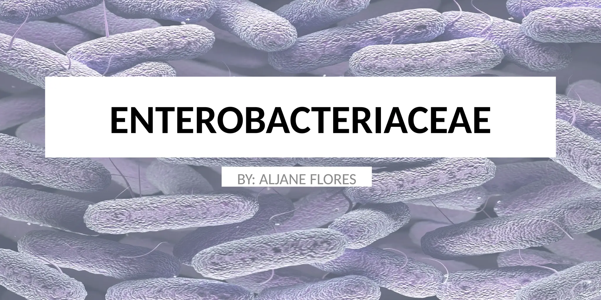 REPORT IN SEMI-FINAL-4.-ENTEROBACTERIACEAE.pptx