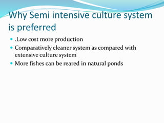 Intensive Fish Farming