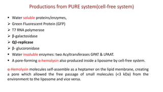 Semi synthetic minimal cells | PPT