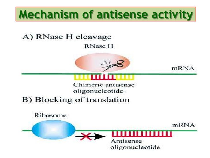 antisense technology