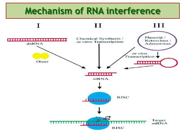 antisense technology