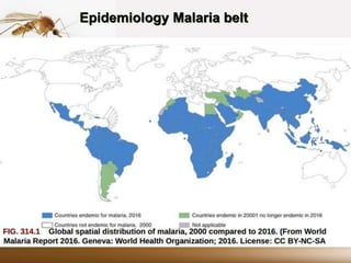 Malaria | PPTX