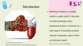 Seminario biologia molecular -3 semestre | PPT