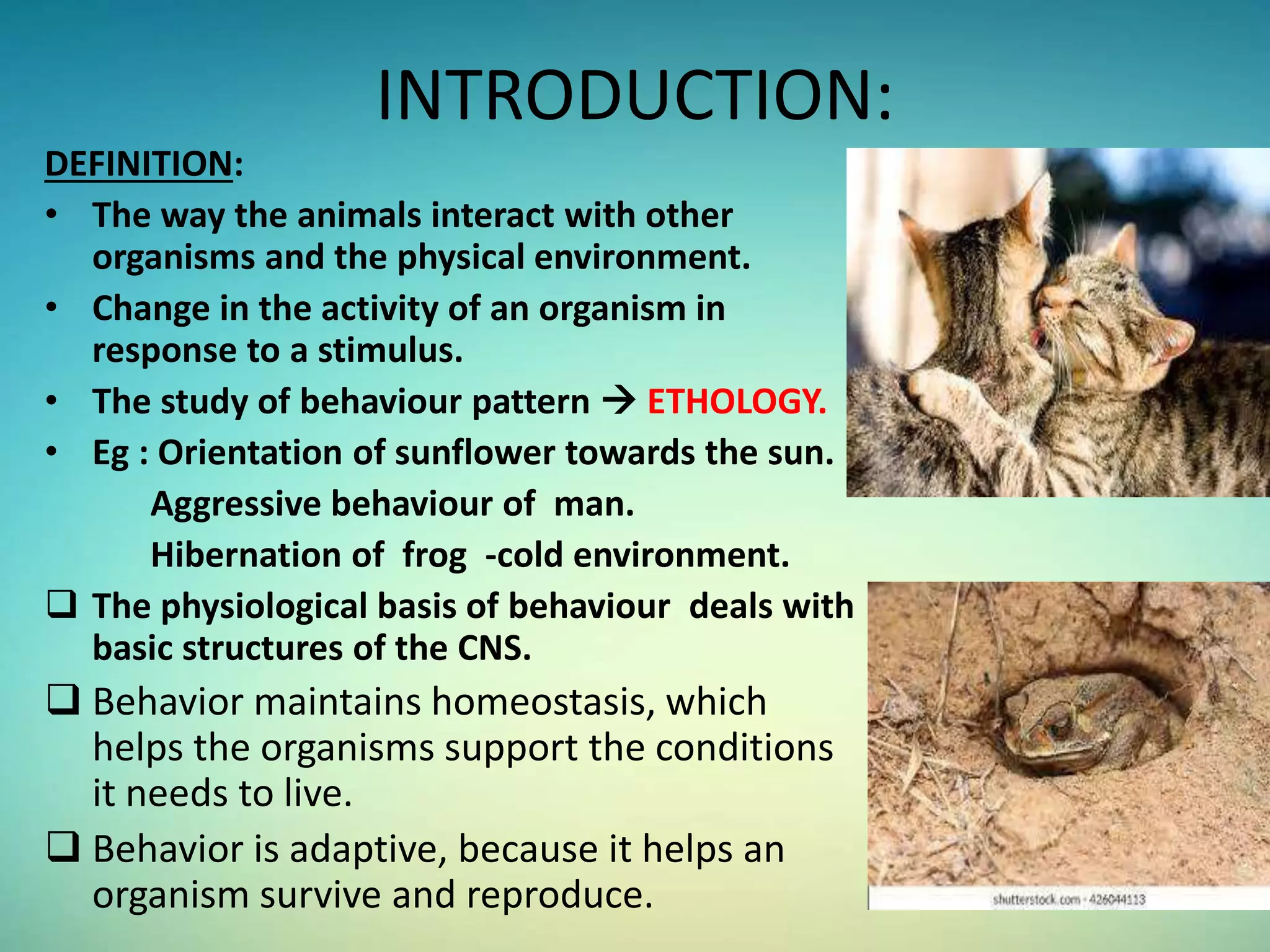 BEHAVIOURAL PHYSIOLOGY (Animal Behaviour) | PPTX