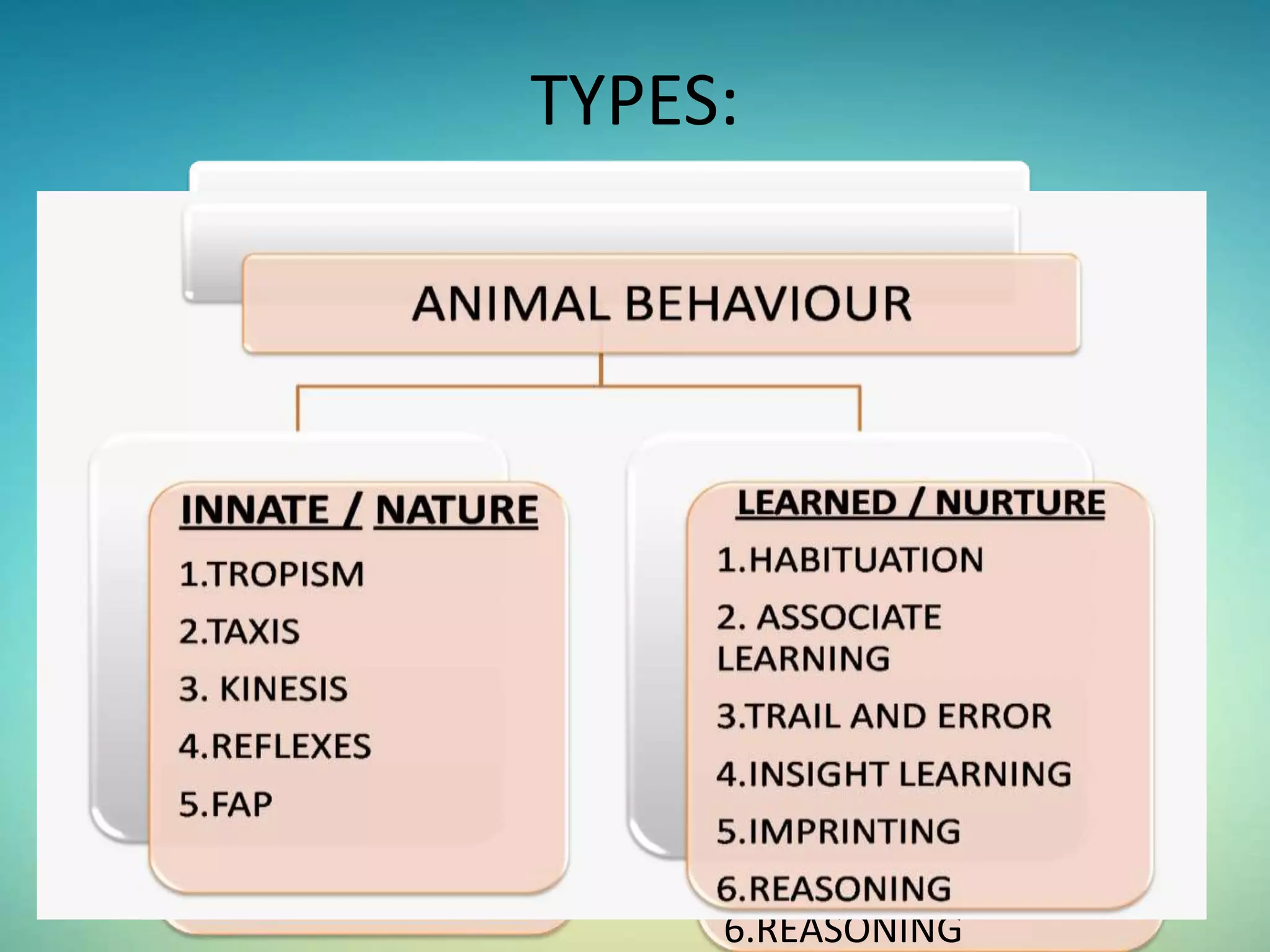 BEHAVIOURAL PHYSIOLOGY (Animal Behaviour) | PPTX