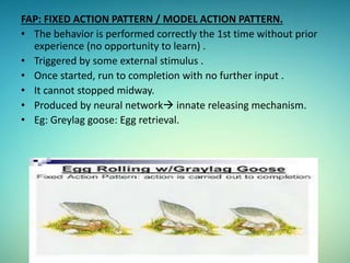 BEHAVIOURAL PHYSIOLOGY (Animal Behaviour) | PPTX