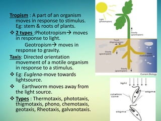 BEHAVIOURAL PHYSIOLOGY (Animal Behaviour) | PPTX