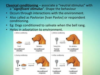 Conditioning Behaviour In Animals