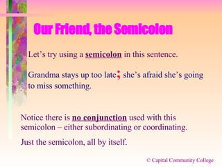 Semicolon The Friend | PPT