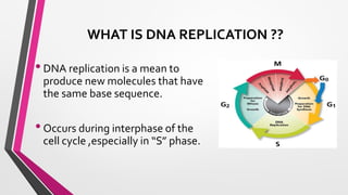 Semiconservative replication | PDF