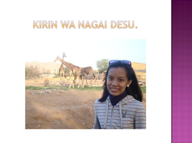 Nihongo Photo Album | PPT