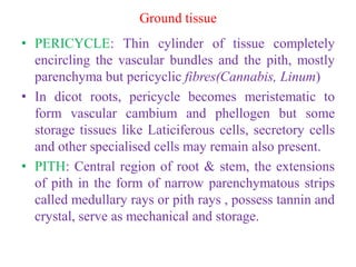 Plant Tissue Systems | PDF