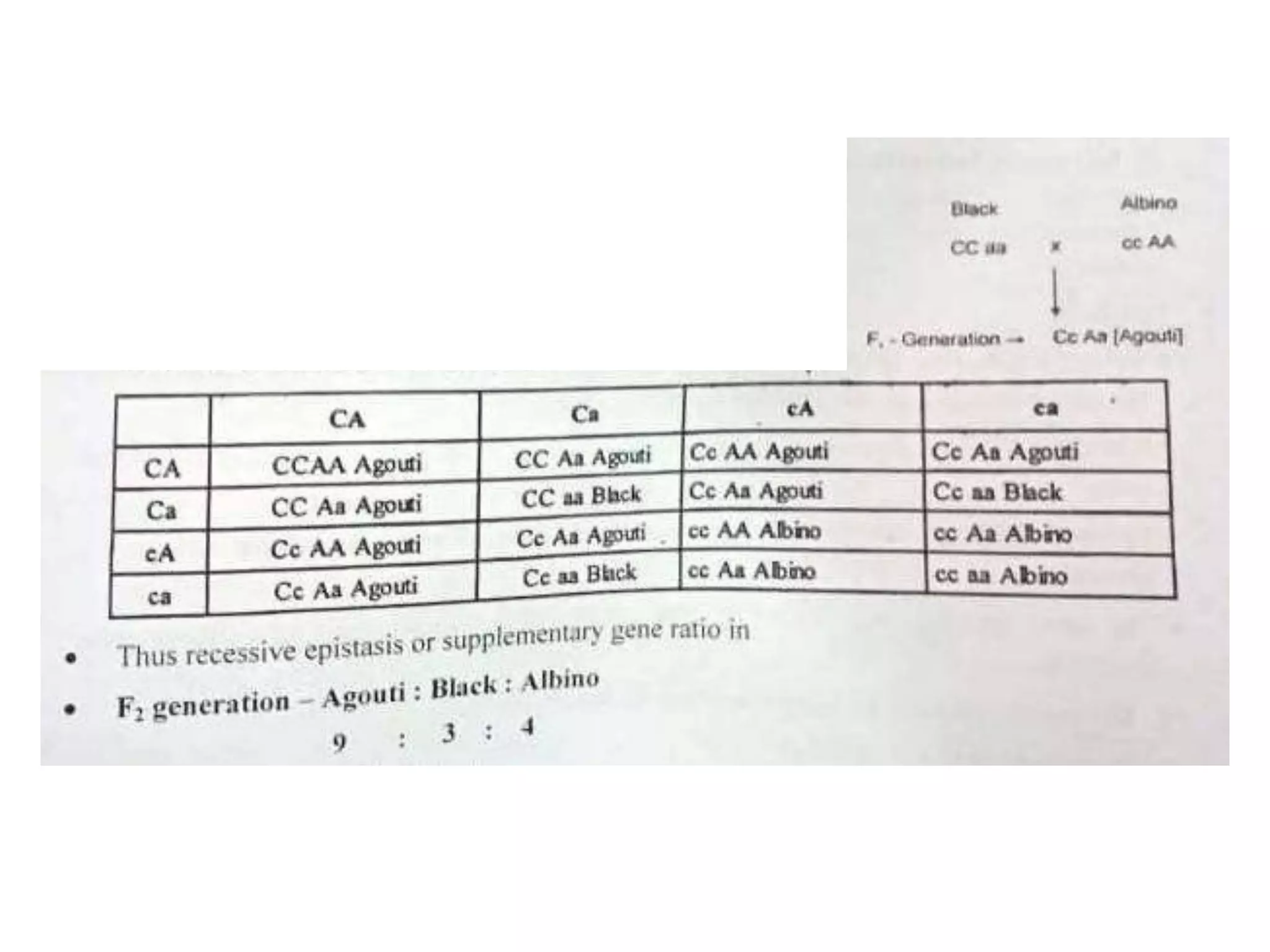 Interaction of genes: Epistasis, Codominance and incomplete dominance | PPTX