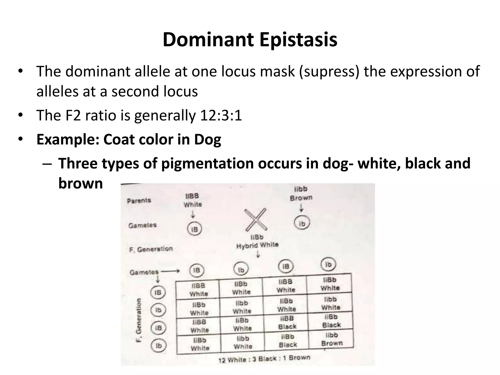 Interaction of genes: Epistasis, Codominance and incomplete dominance ...