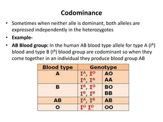 Interaction of genes: Epistasis, Codominance and incomplete dominance ...