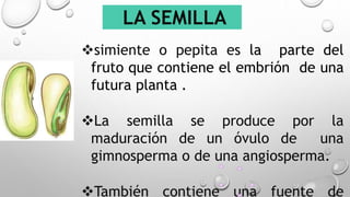 ANATOMÍA DE LA SEMILLA | PPTX
