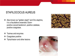 Antimicrobial resistance and molecular epidemiological characteristics ...