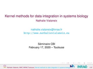Kernel methods for data integration in systems biology | PPT