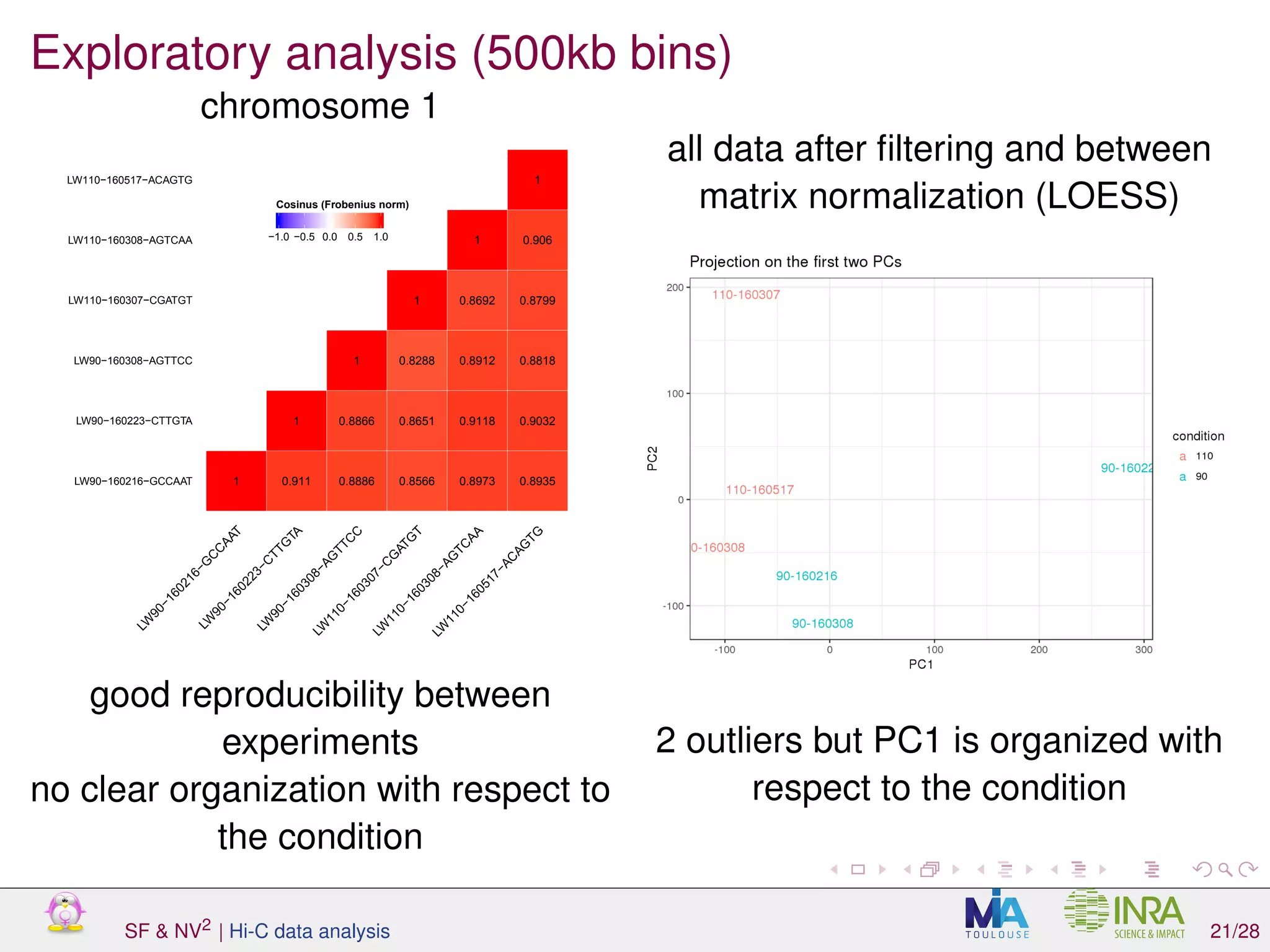 Investigating the 3D structure of the genome with Hi-C data analysis | PDF