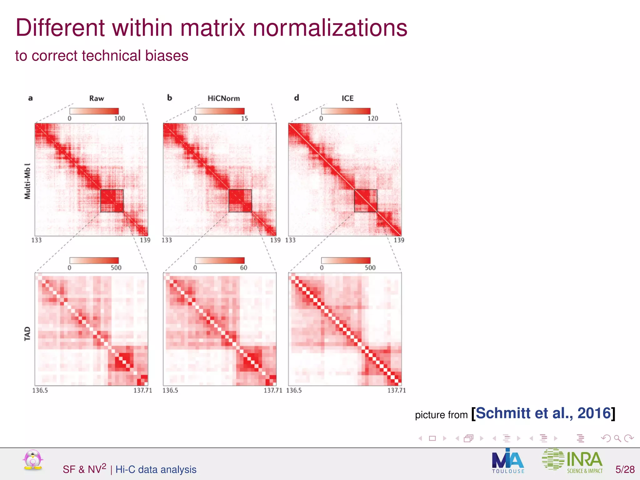 Investigating the 3D structure of the genome with Hi-C data analysis | PDF