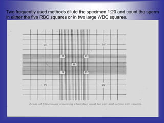 Seminal Fluid Two (1).ppt