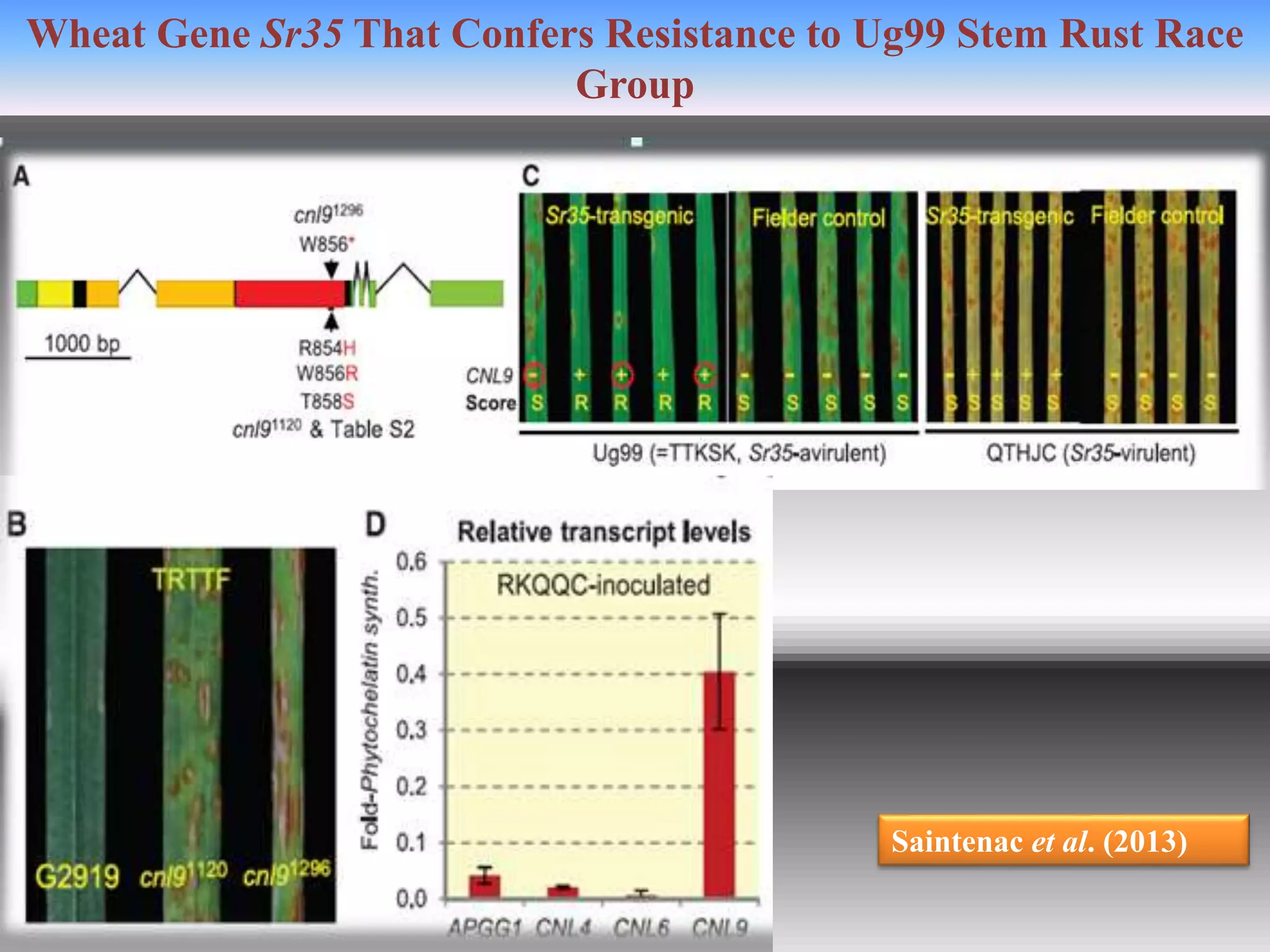 importance of pathogenomics in plant pathology | PPTX