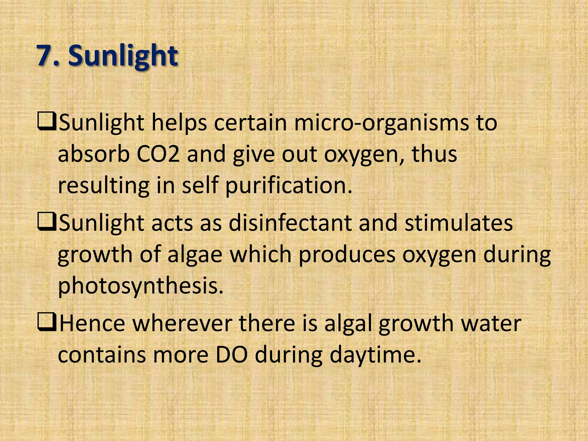 self purification of streams Seminan ppt | PPTX