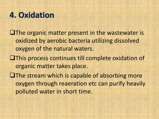 self purification of streams Seminan ppt | PPTX