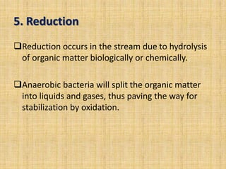 self purification of streams Seminan ppt | PPTX