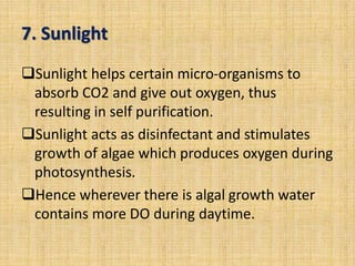 self purification of streams Seminan ppt | PPTX