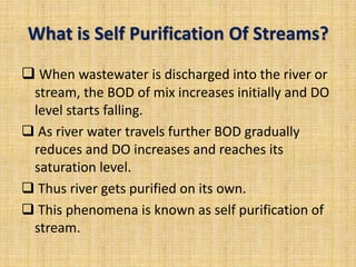 self purification of streams Seminan ppt | PPTX