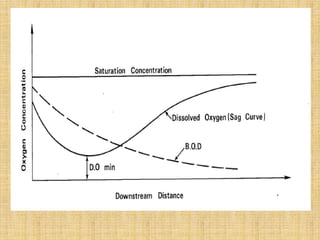 self purification of streams Seminan ppt | PPTX