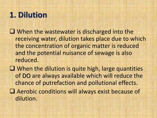 self purification of streams Seminan ppt | PPTX