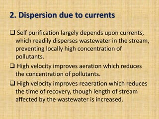 self purification of streams Seminan ppt | PPTX