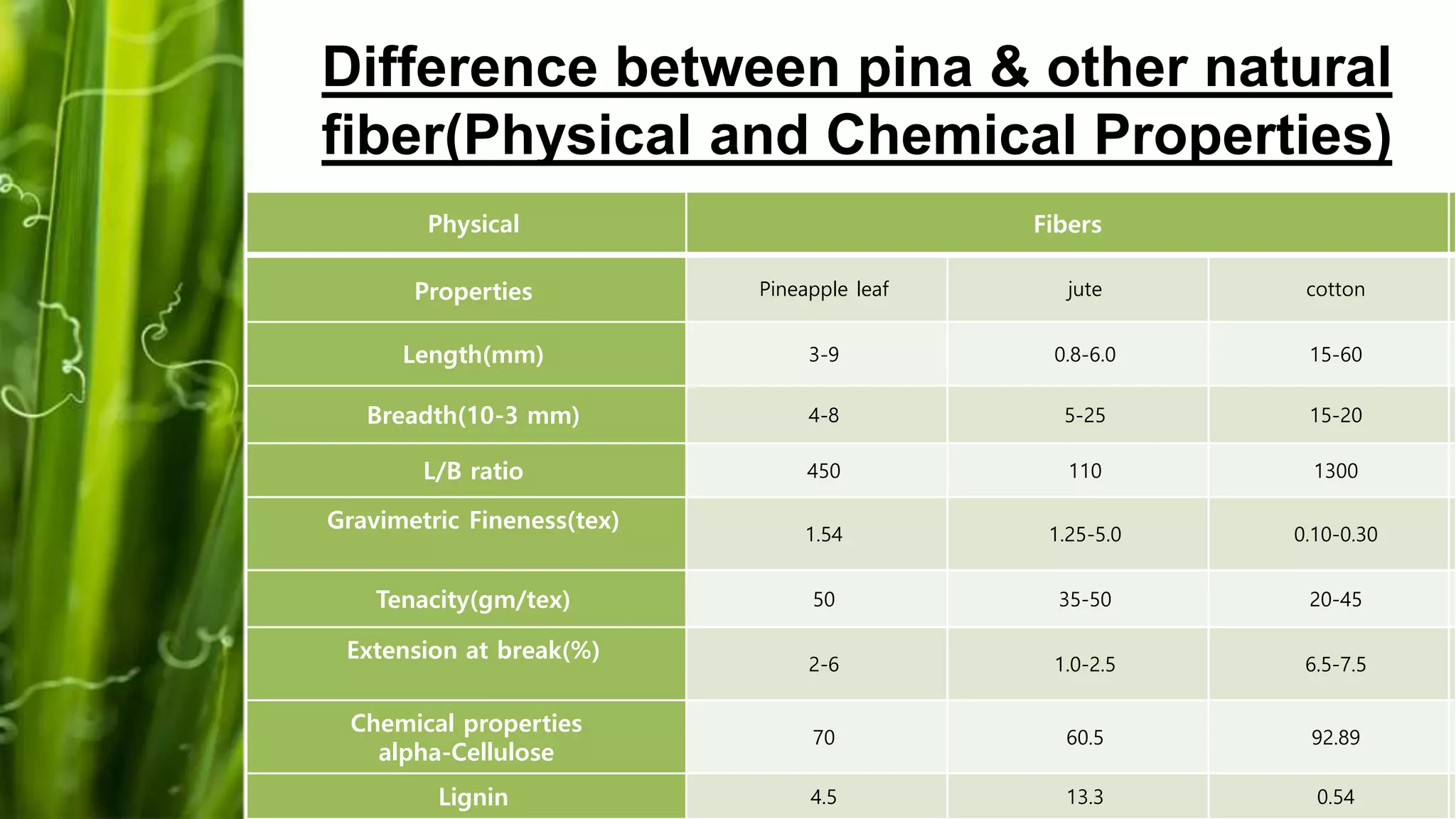 PINA FIBER | PPTX